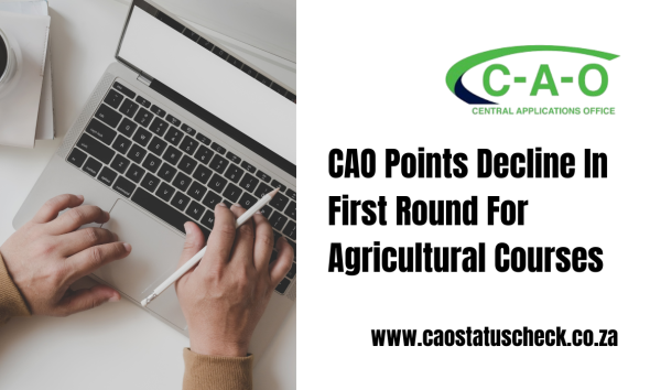 CAO Handbook 2024 | PDF Download