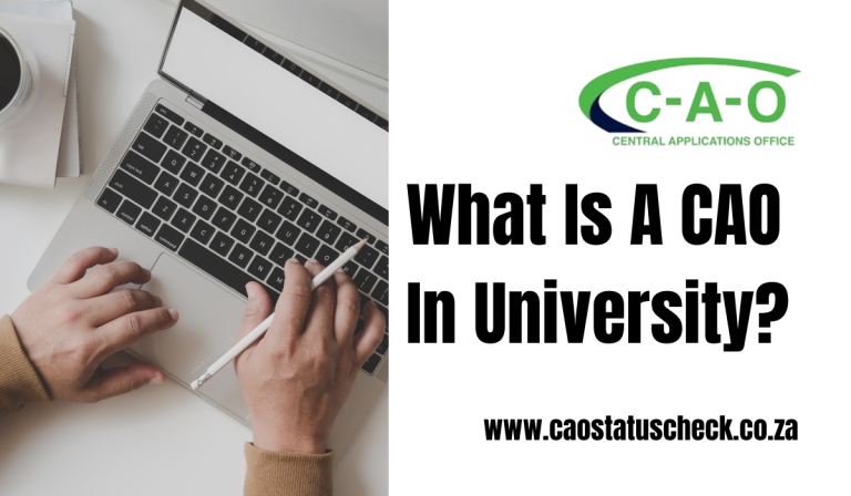 CAO Handbook 2024 | PDF Download